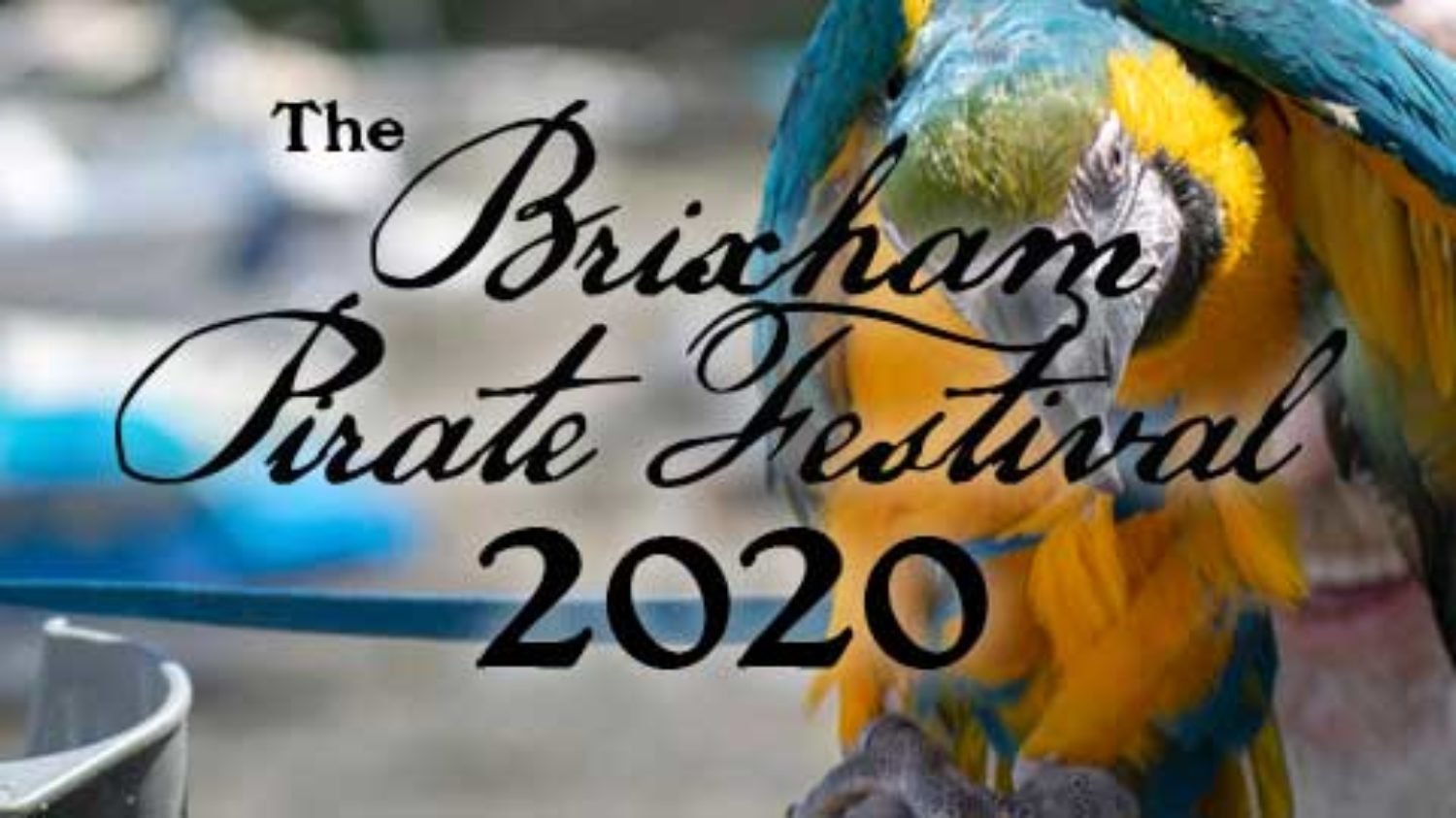 The Brixham Pirate Festival | One of Britain's Largest Pirate Gatherings